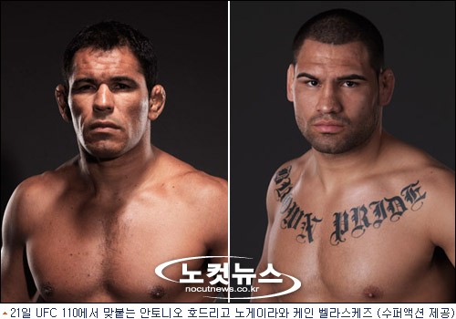 노게이라 vs 벨라스케즈 ''UFC 110'' 맞불 - 노컷뉴스