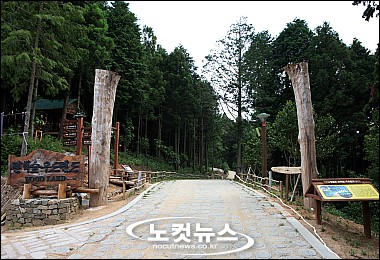 장흥 우드랜드 "발길이 바쁘다" - 노컷뉴스