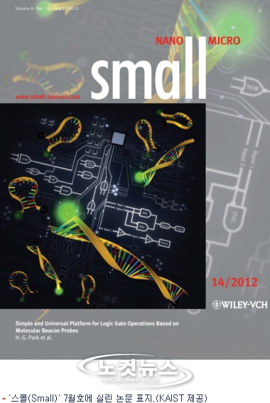 KAIST, DNA 기반 초소형 반도체 핵심 원천기술 개발 - 노컷뉴스