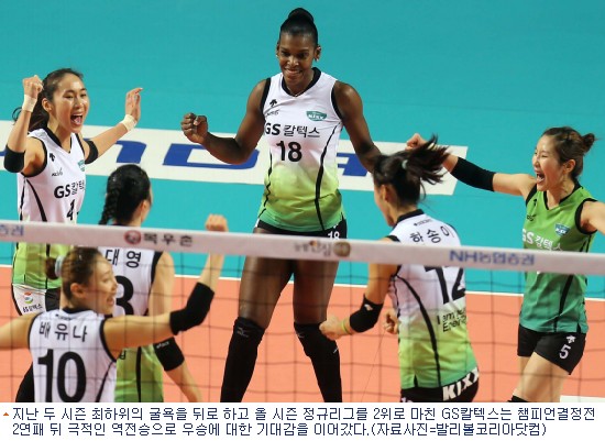 "기다려 IBK" GS칼텍스 베테랑 3인방의 선전포고 - 노컷뉴스