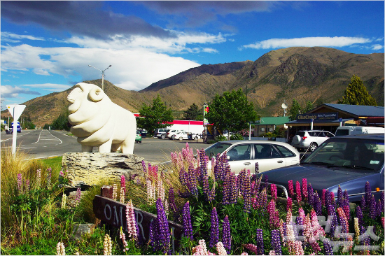 자유를 갈망하는 자, 뉴질랜드 여행을 떠나자 - 노컷뉴스
