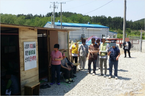 포항 멸치건조공장 사업자 인근주민 갈등 심화 노컷뉴스