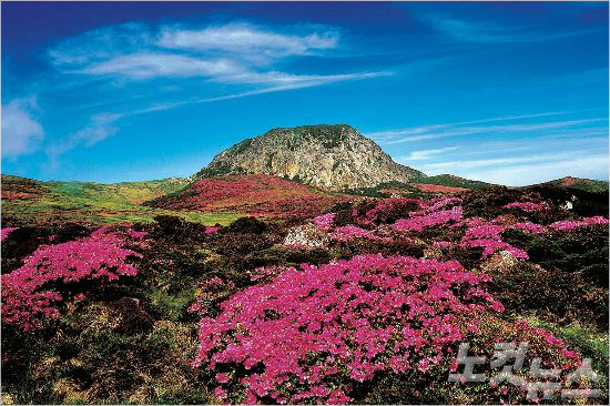 제주 한라산 앞으로 도시락 싸들고 못간다 - 노컷뉴스