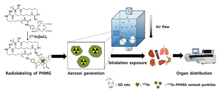 가습기 살균제 유독물질 'PHMG' 체내 추적 기술 개발 - 노컷뉴스