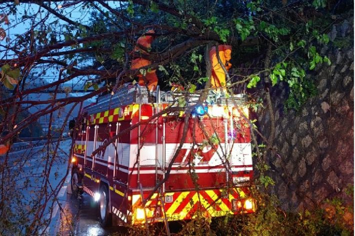 태풍 '하이선' 전남지역 시설 피해 16건… 농작물 123ha 피해 - 노컷뉴스