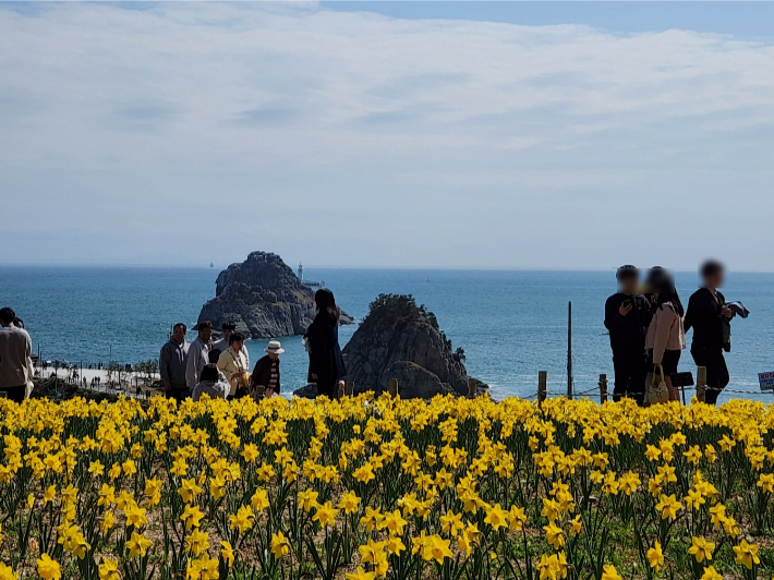 부산노컷