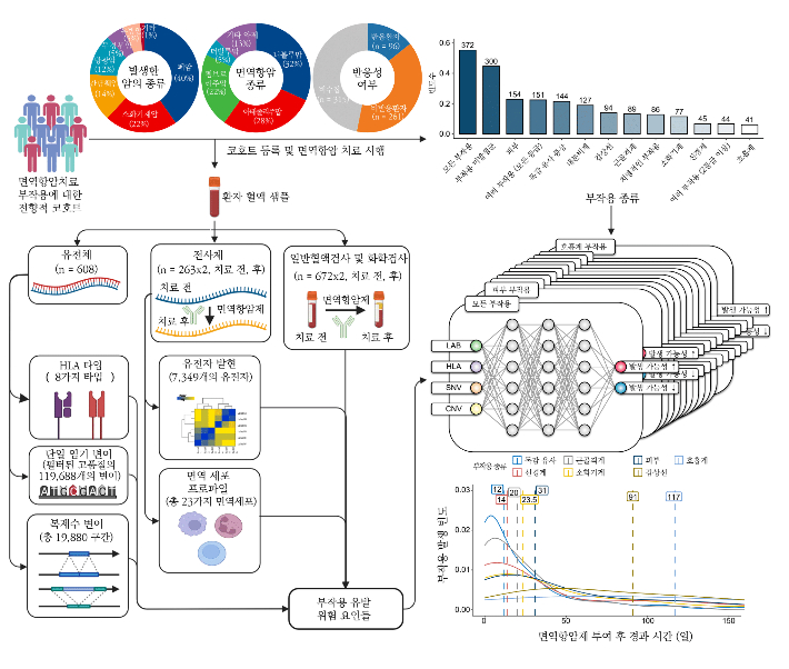 KAIST-서울아산병원, 면역항암치료 부작용 AI로 예측 - 노컷뉴스