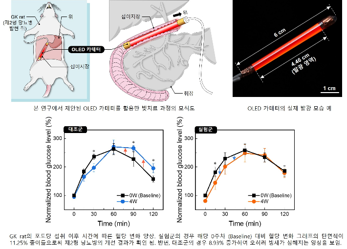 KAIST-서울아산병원, 세계 첫 '체내 OLED 빛 치료' 구현 - 노컷뉴스